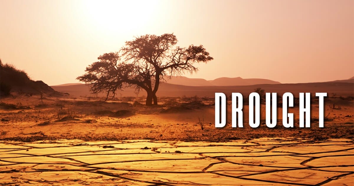 Drought - Training Authors with CJ and Shelley Hitz